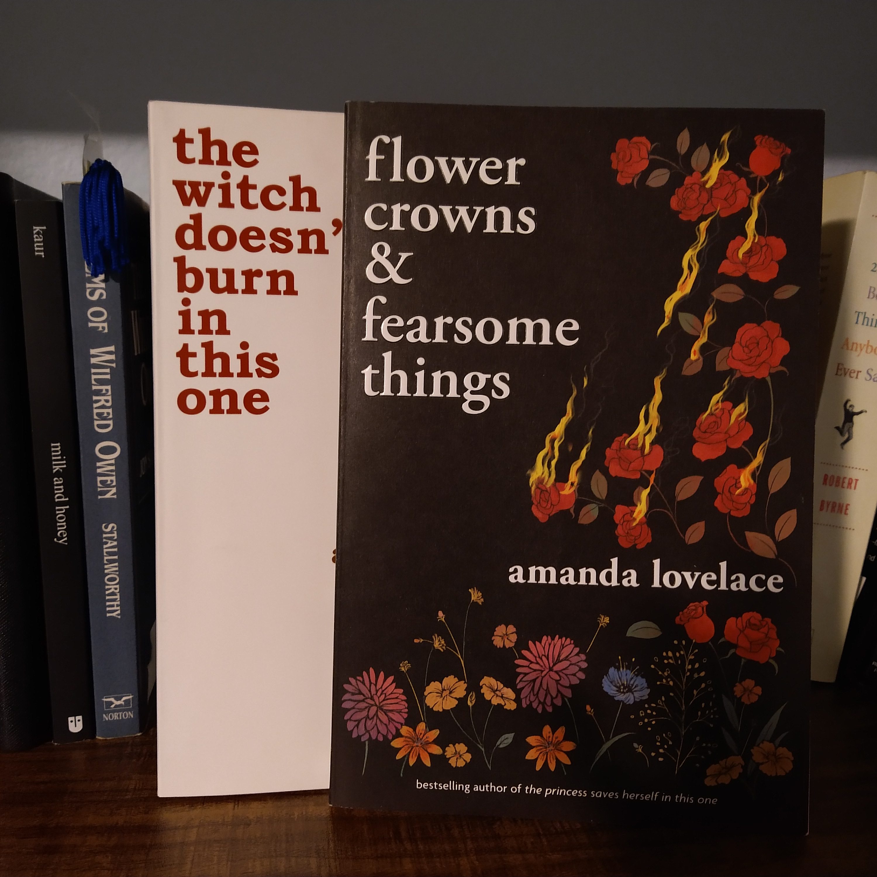 Heather Stewart Poetry – poet and shapeshifter